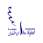 UIT : Stagiaires et jeunes diplômés