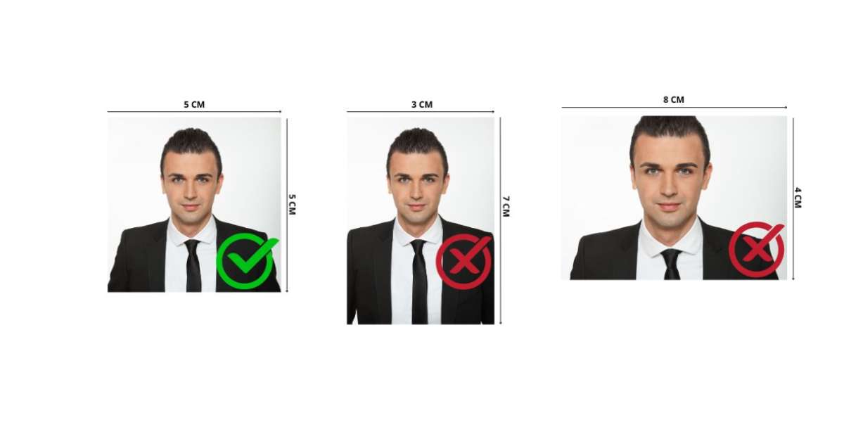Maîtriser la photo sur le CV : taille, style et impact professionnel ...