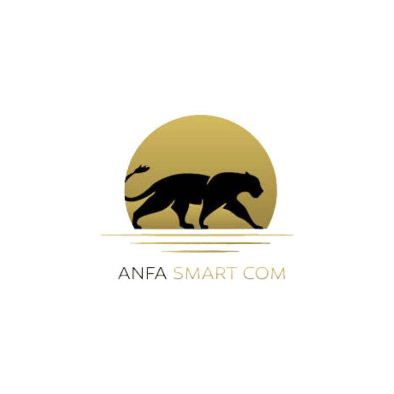 ANFA SMART COM : Offres de stage, PFE et Emploi Maroc