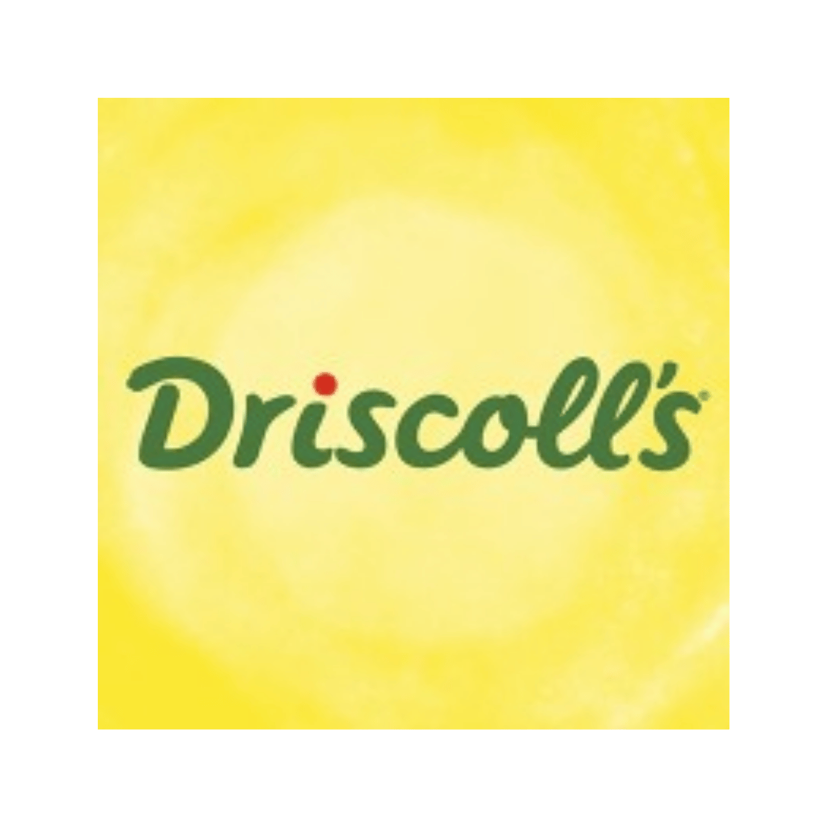 Driscoll’s du Maroc : Offres de stage, PFE et Emploi Maroc